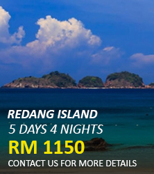Nanyang Tourism Official Website